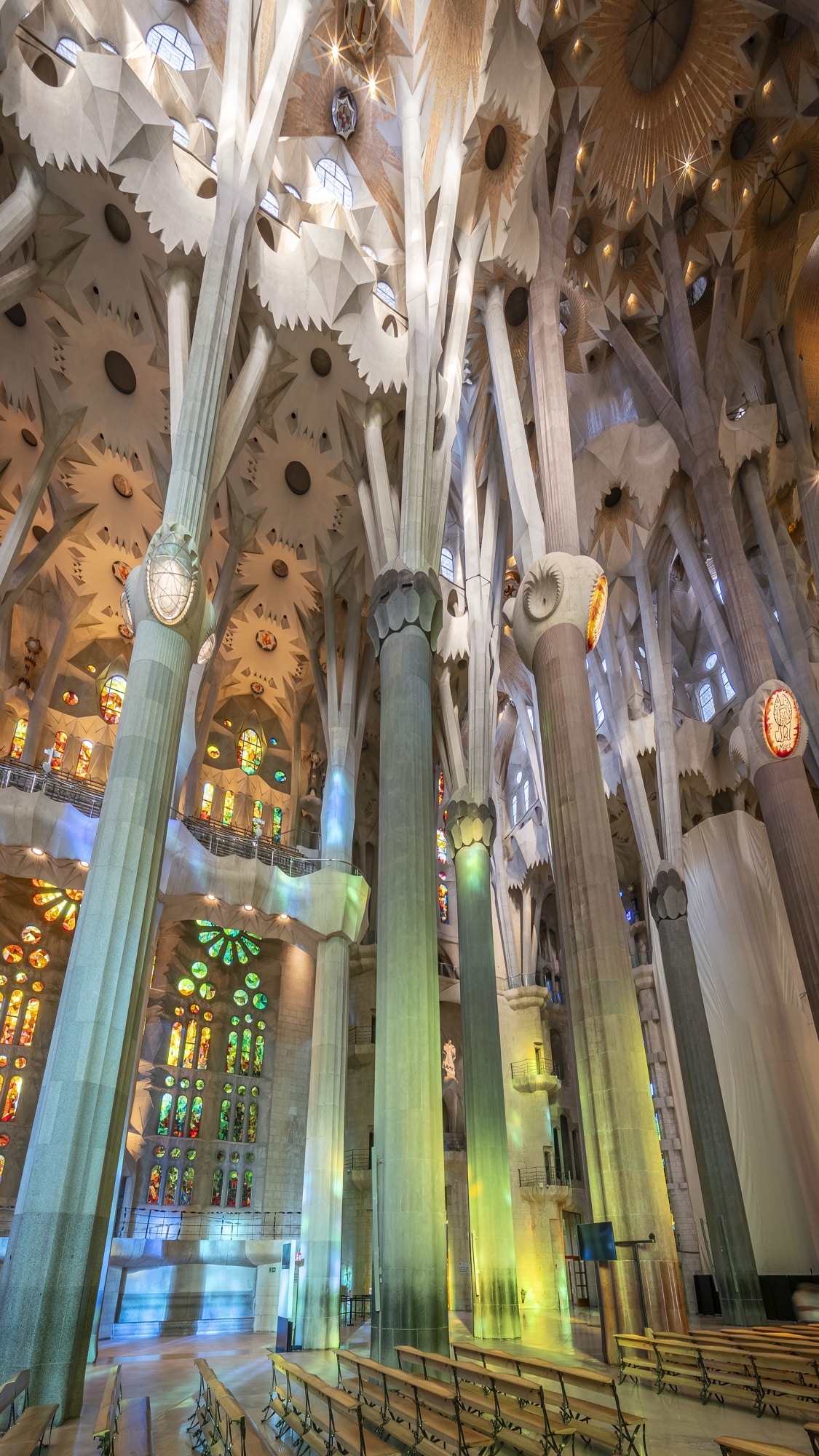 Sagrada Família columns: the geometry, mechanics and materials of a ...